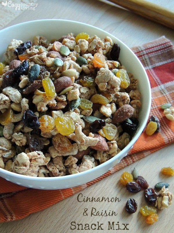 Cinnamon and Raisin Trail Mix - California Raisins